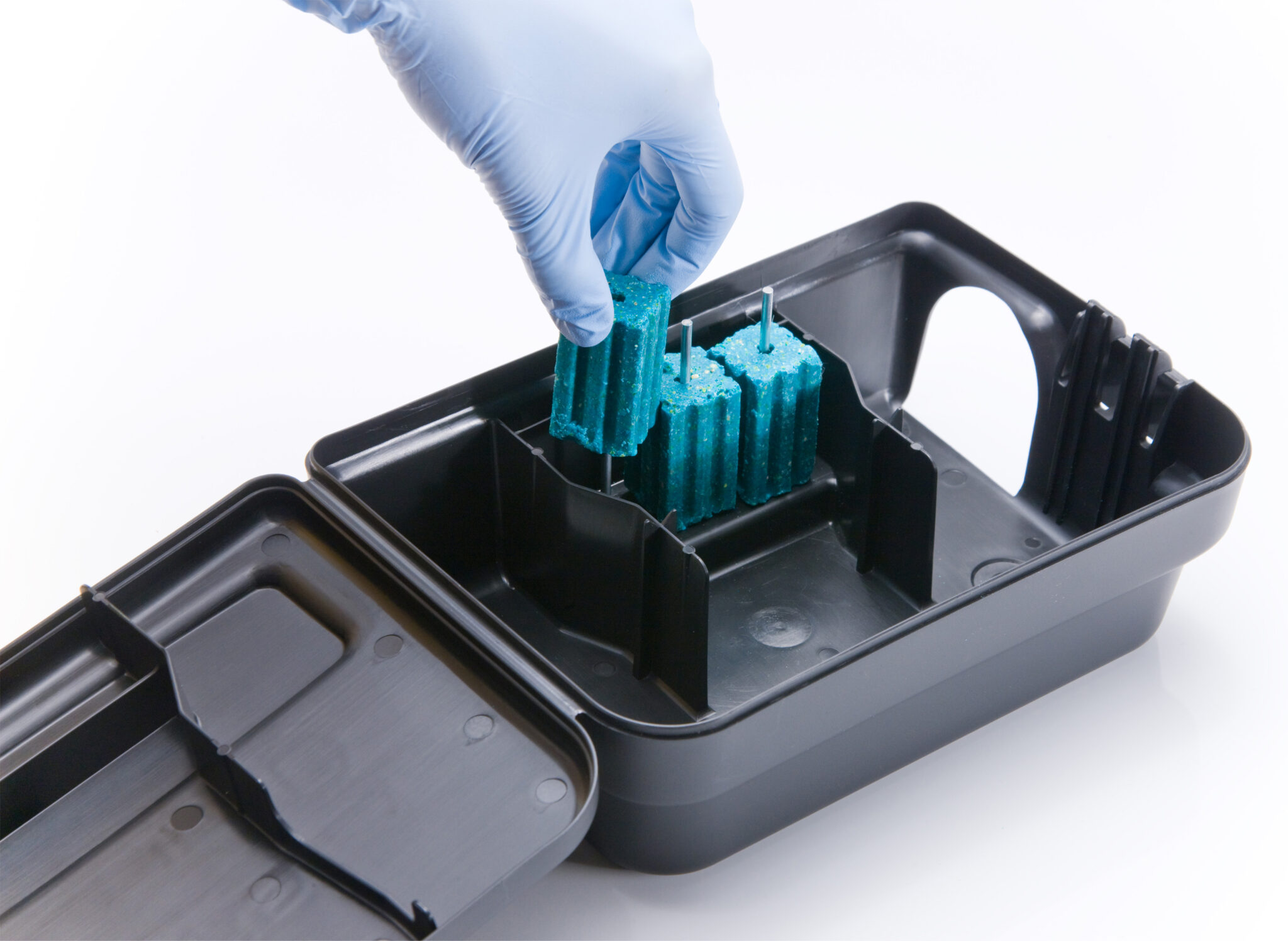 Termite Safe | Termite Pest Control | Camden | Campbelltown | Penrith